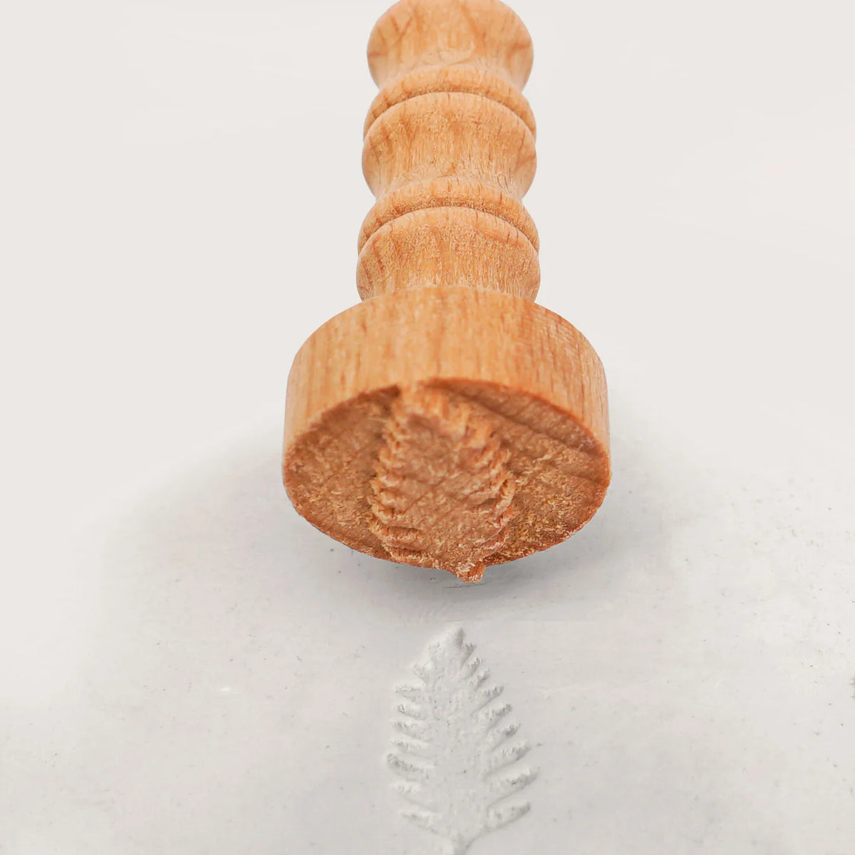 Tropical Leaf Clay Stamp – Ruby Clay Company