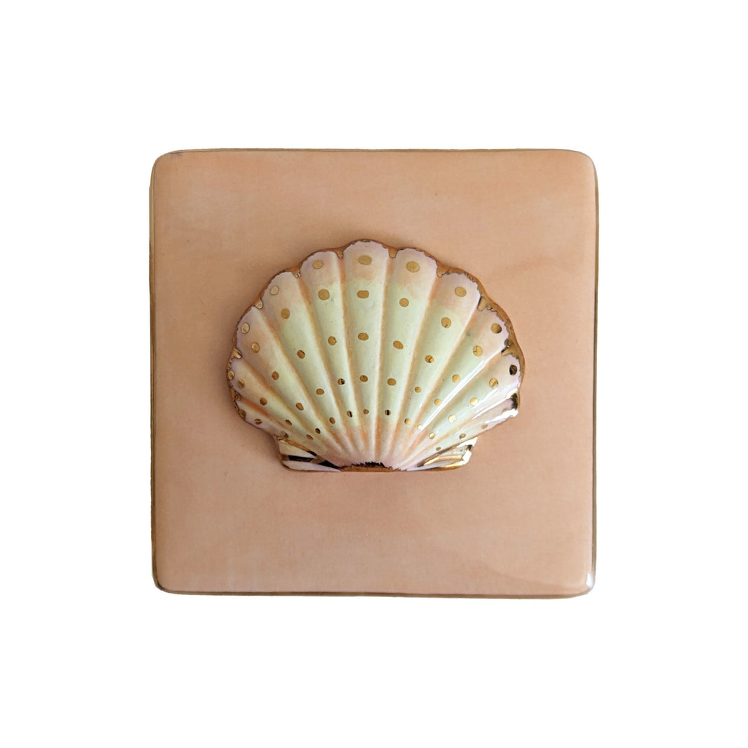 Seashell Collection – Ruby Clay Company